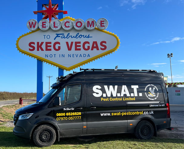 S.W.A.T. Pest Control | Skegness | Louth | Grimsby | Spilsby